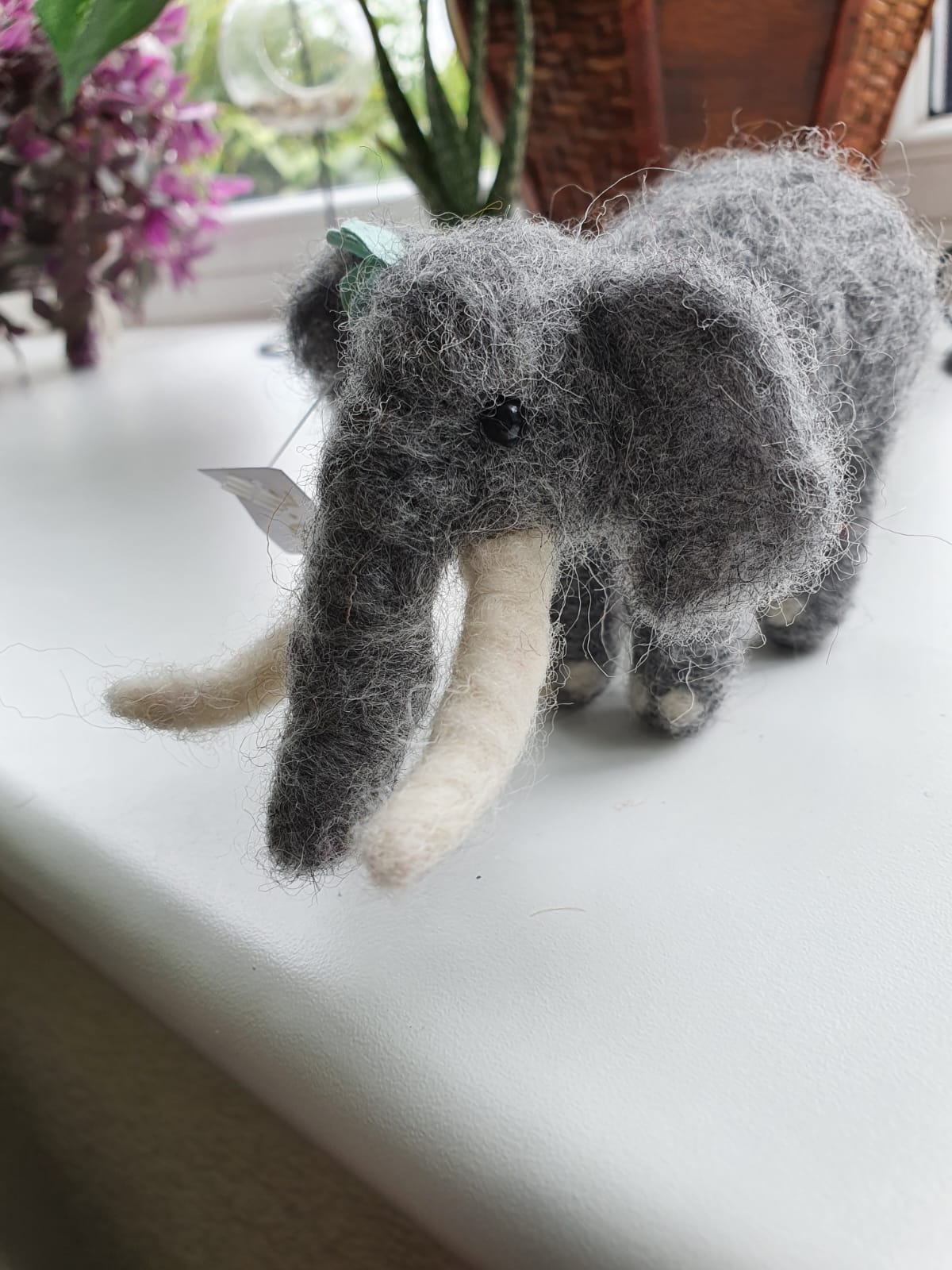 Keeping busy at home | Phocus On Lifestyle