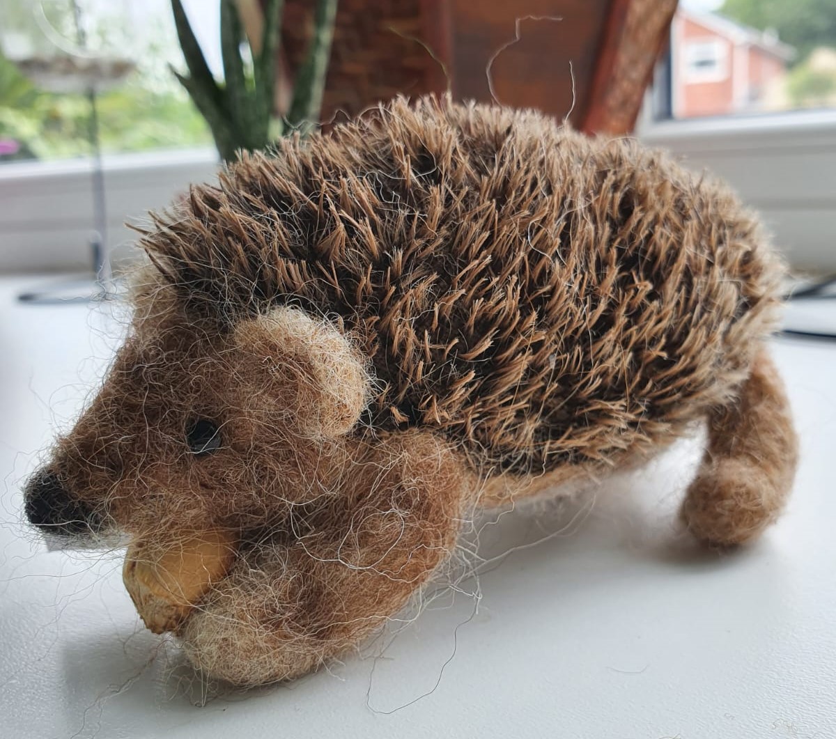 Keeping busy at home | Phocus On Lifestyle